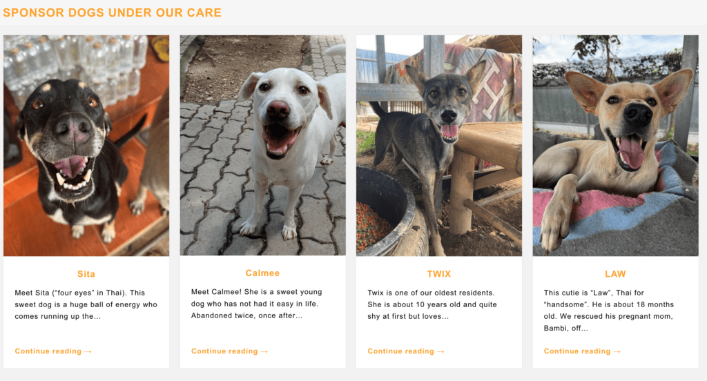 Sponsor dogs under our care - Hand to Paw Thailand